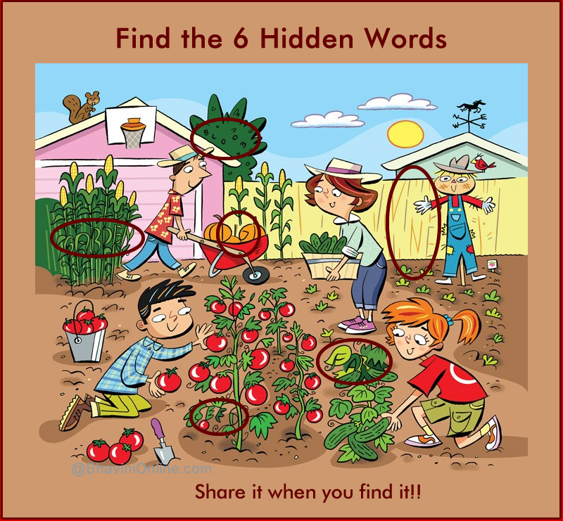 WhatsApp Riddle: Find 6 Words Hidden in the Picture 3 | BhaviniOnline.com
