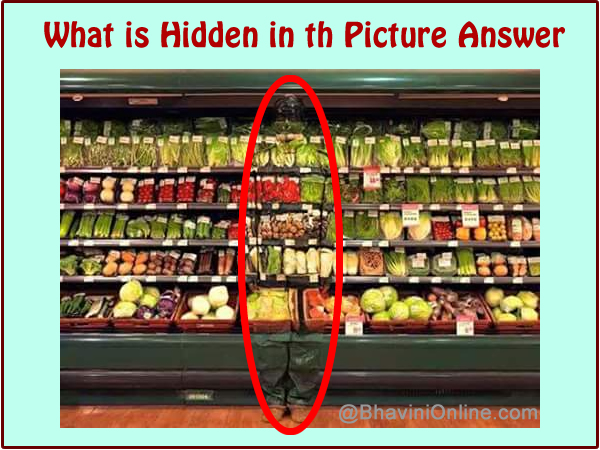 Picture Riddle: What Is Hidden In The Picture Below? | BhaviniOnline.com