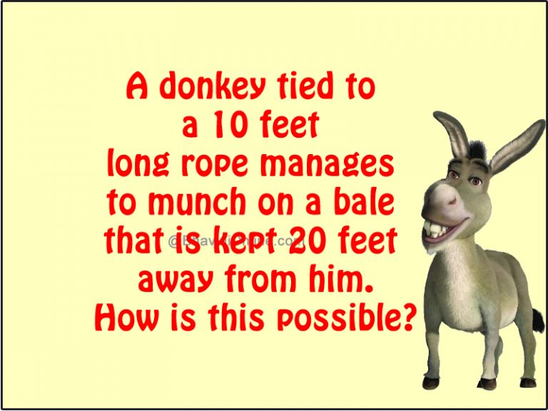 Fun Logical Riddle: How Can the Donkey Reach 20 feet Away ...
