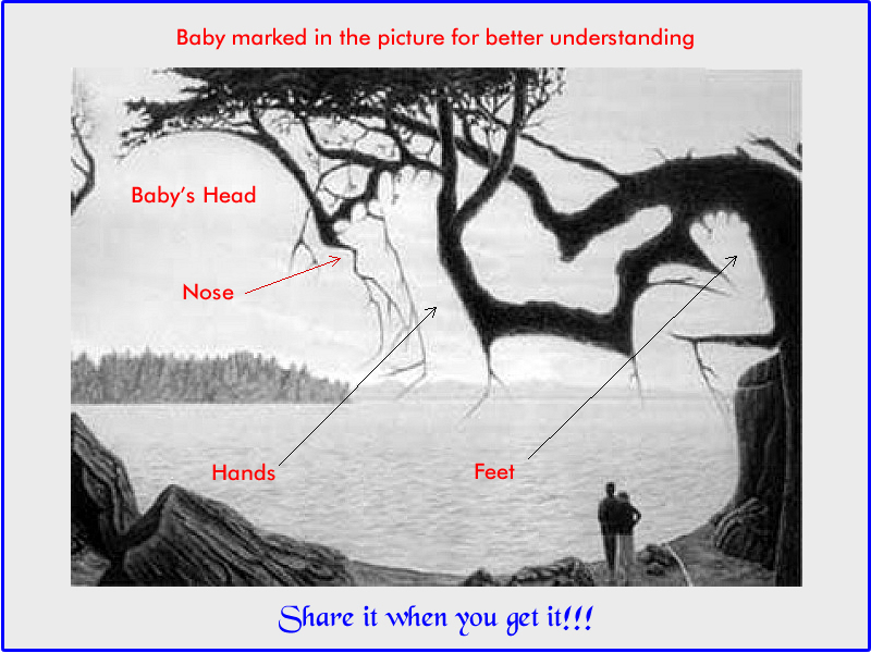 Picture Riddle: Can You Find Something Hidden in this Image ...