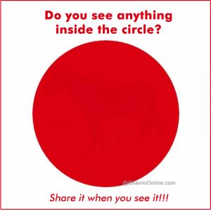 Picture Riddle: Do You See Anything in the Red Circle? | BhaviniOnline.com