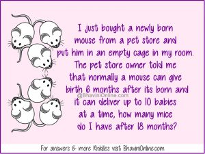 Fun Riddle: How Many Mice Do I Have After 18 Months? | BhaviniOnline.com