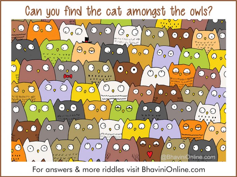 Picture Riddle: Can You Find The Cat Among The Owls? | BhaviniOnline.com